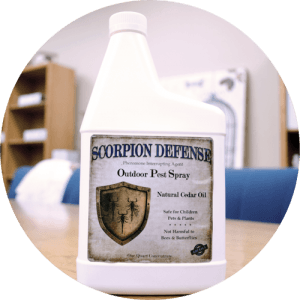 Scorpion Prevention Products | Seal Out Scorpions