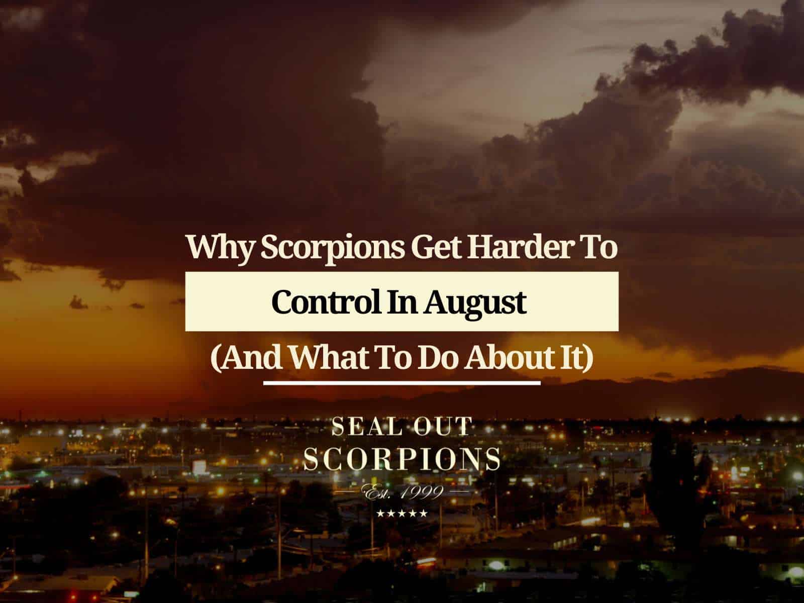 Why Scorpions Are Harder To Control In August (And What To Do)