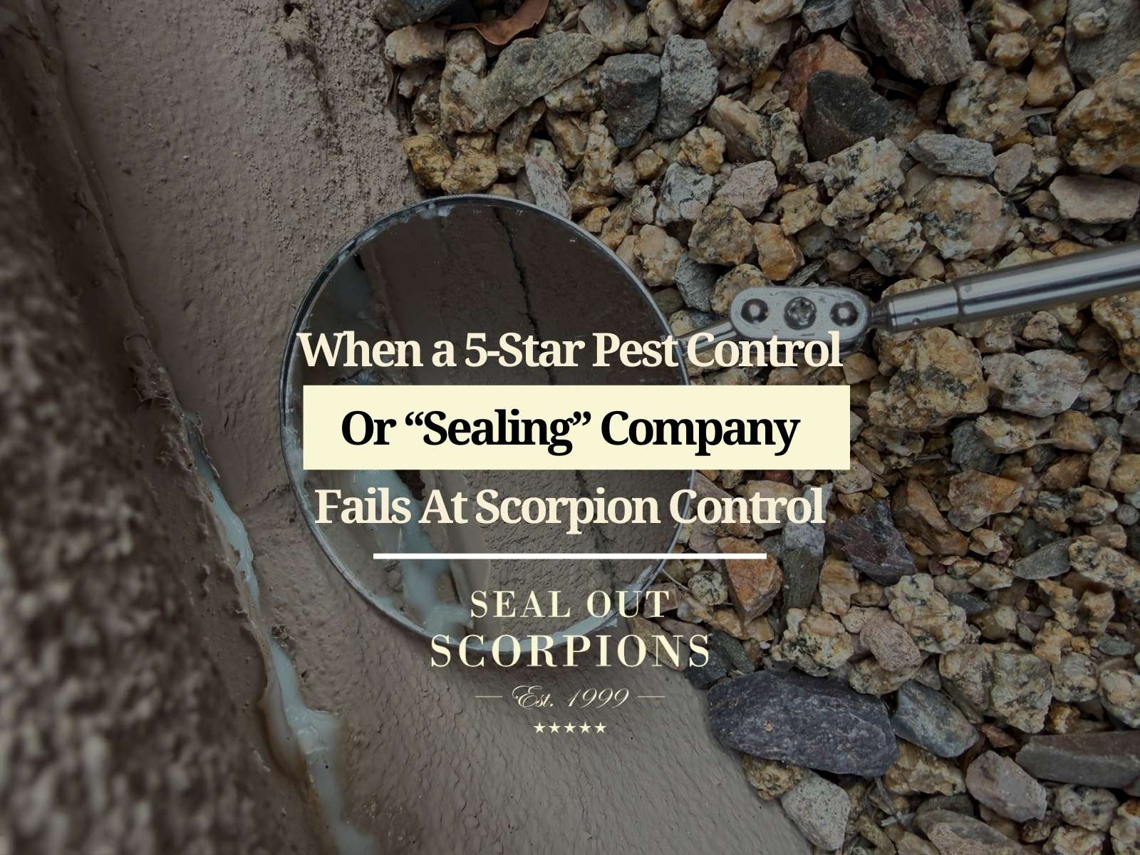 When a 5-Star Pest Control or “Sealing” Company Fails at Scorpion Control