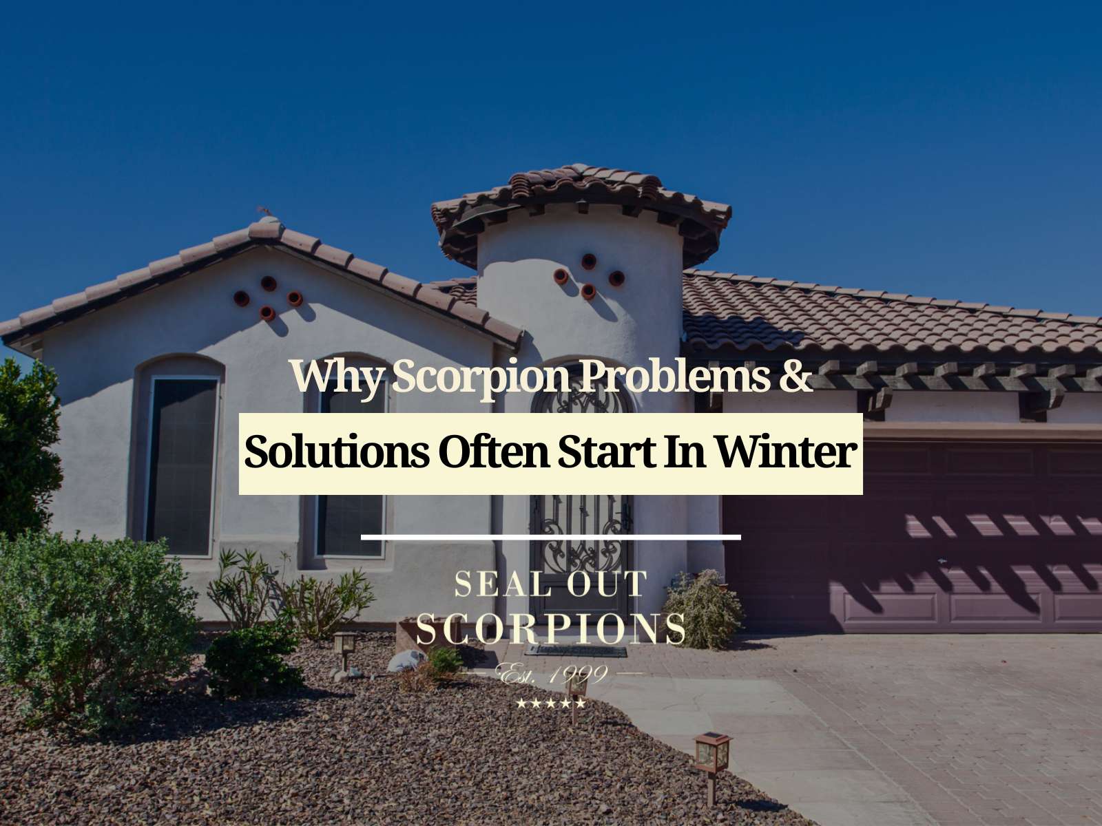 Why Scorpion Problems & Solutions Often Start In Winter